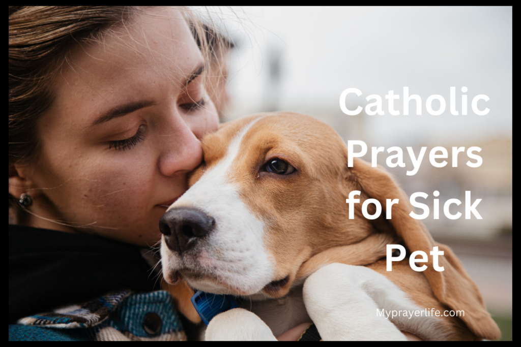 Catholic Prayers For Sick Pet - LoveFlocks