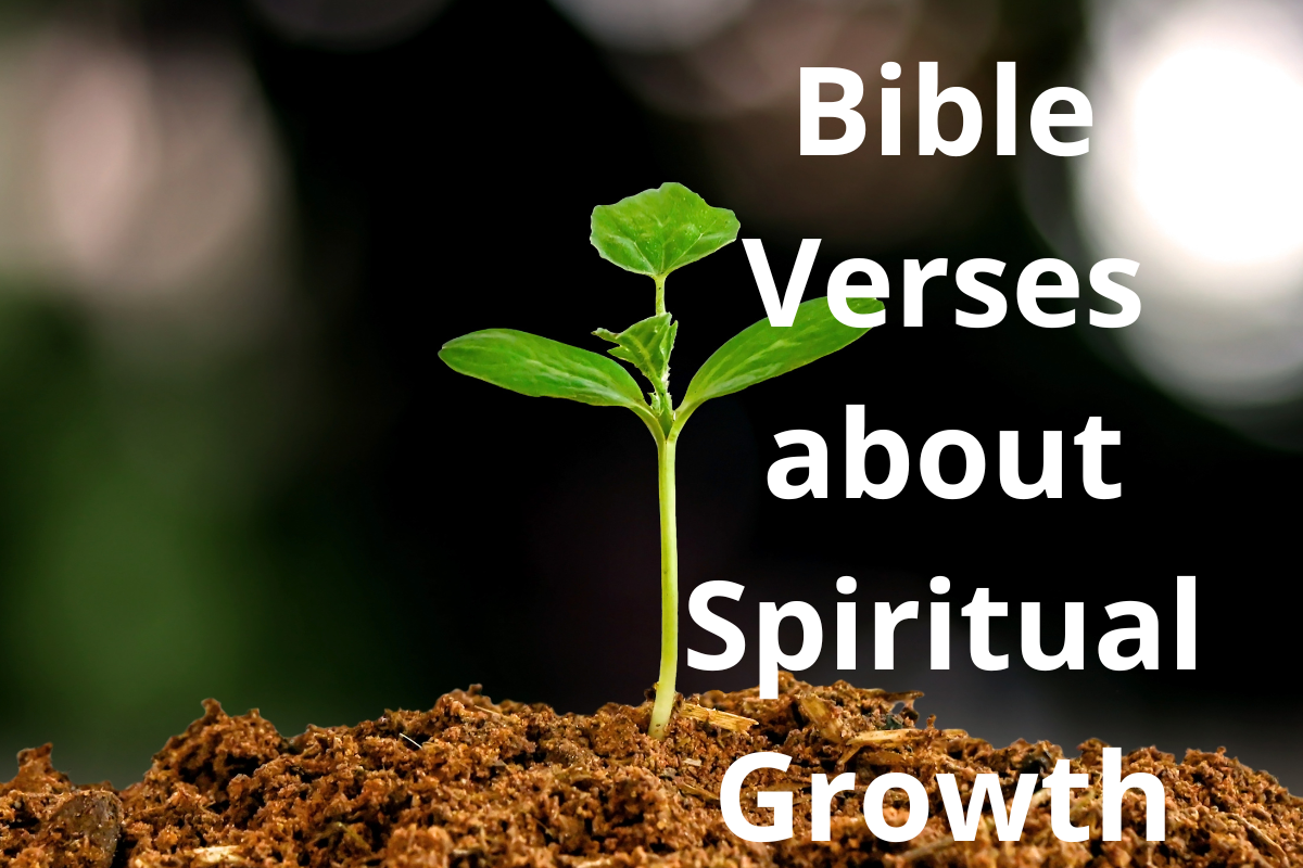Bible Verses About Spiritual Growth - LoveFlocks