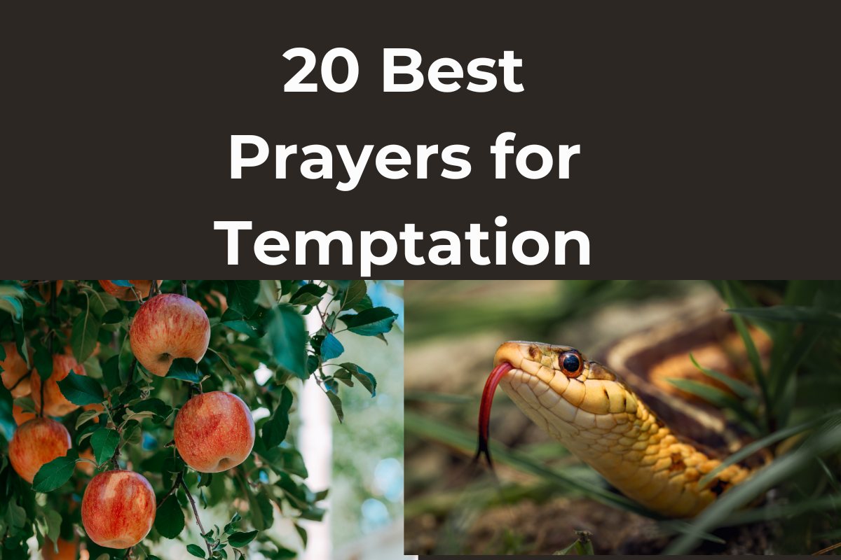 20 Best Prayers For Temptation - LoveFlocks