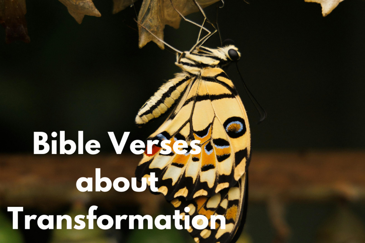 Bible Verses about Transformation - LoveFlocks