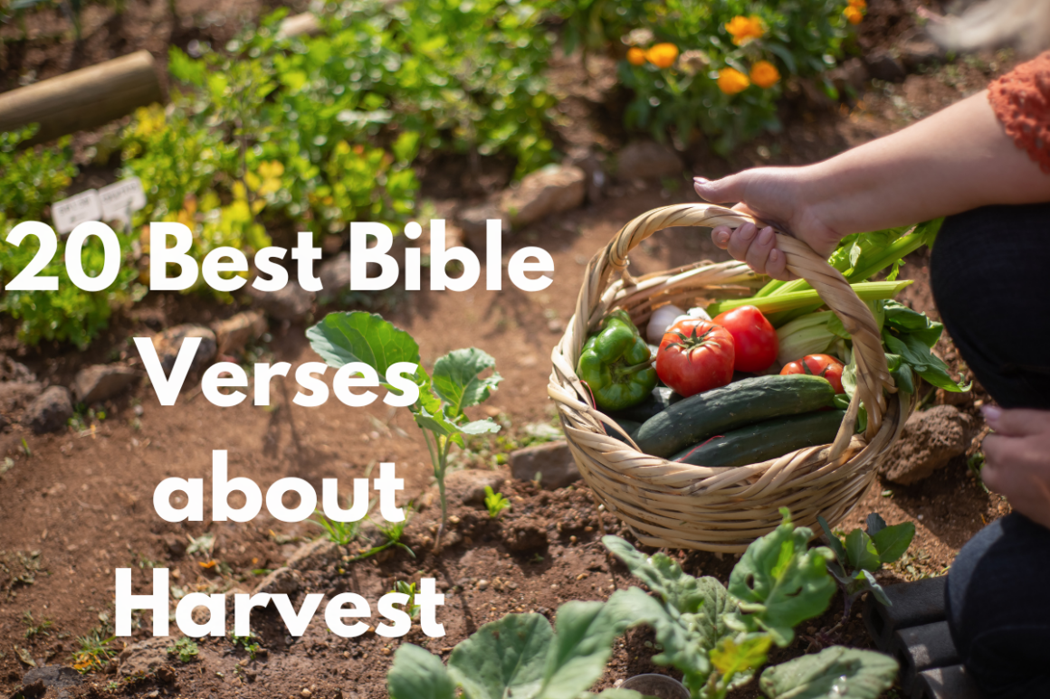 20 Best Bible Verses about Harvest - LoveFlocks