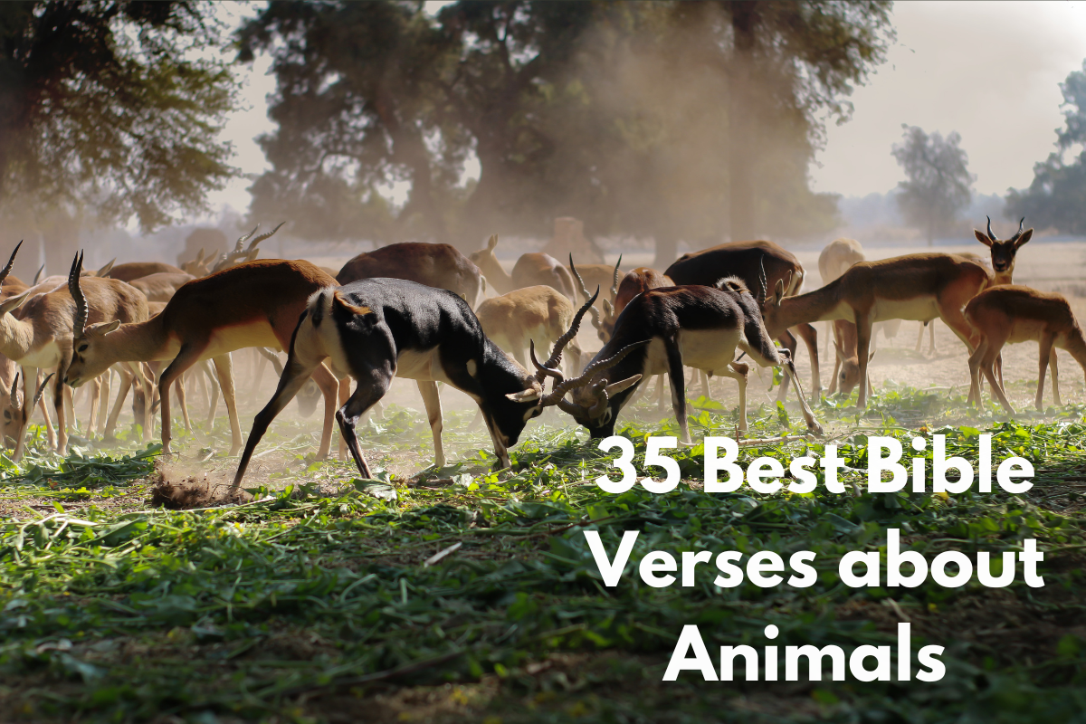 35 Best Bible Verses about Animals - LoveFlocks