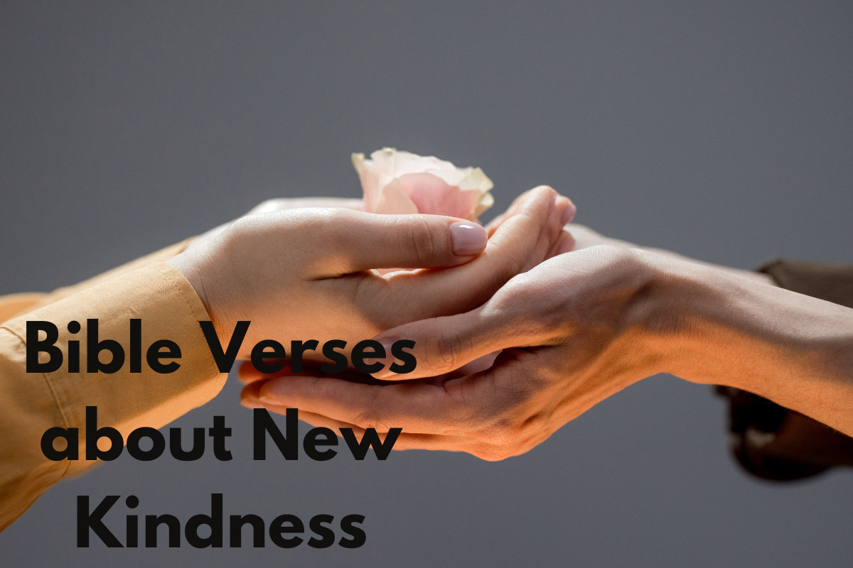 Bible Verses about New Kindness - LoveFlocks