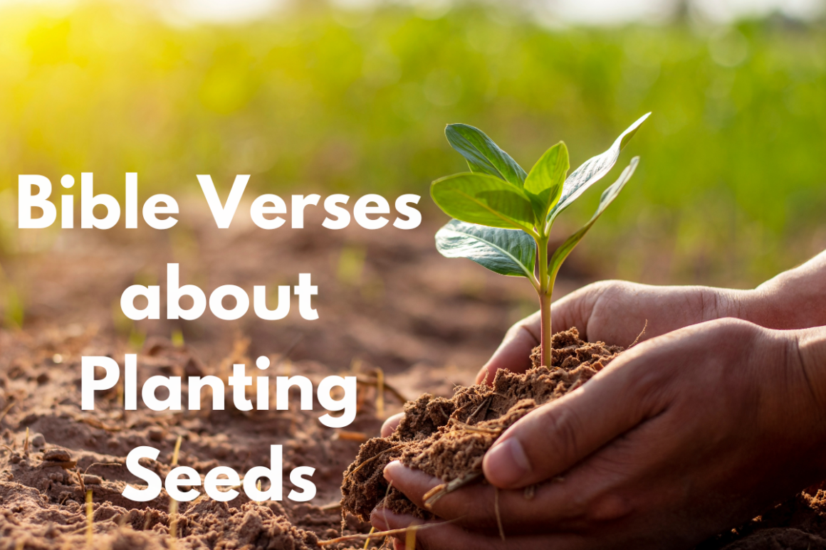 Bible Verses about Planting Seeds - LoveFlocks