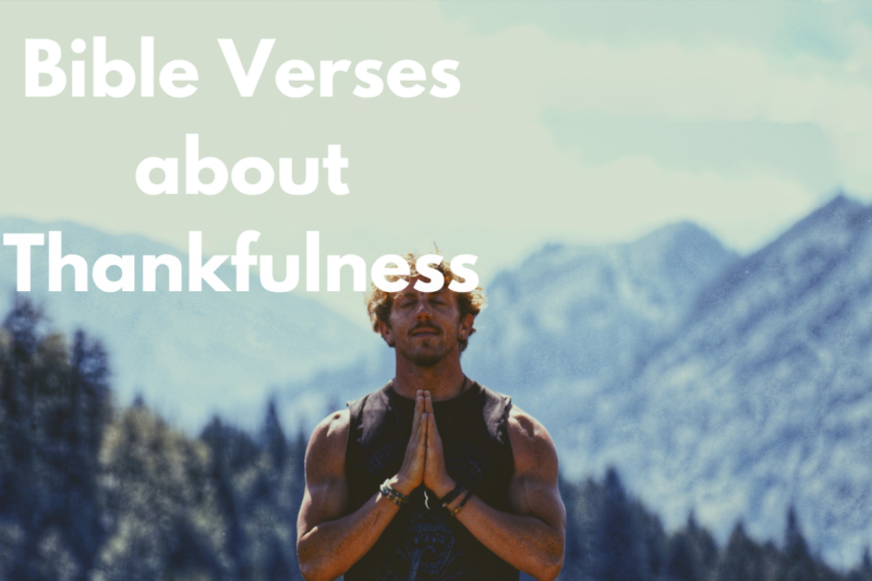 Bible Verses About Thankfulness - LoveFlocks