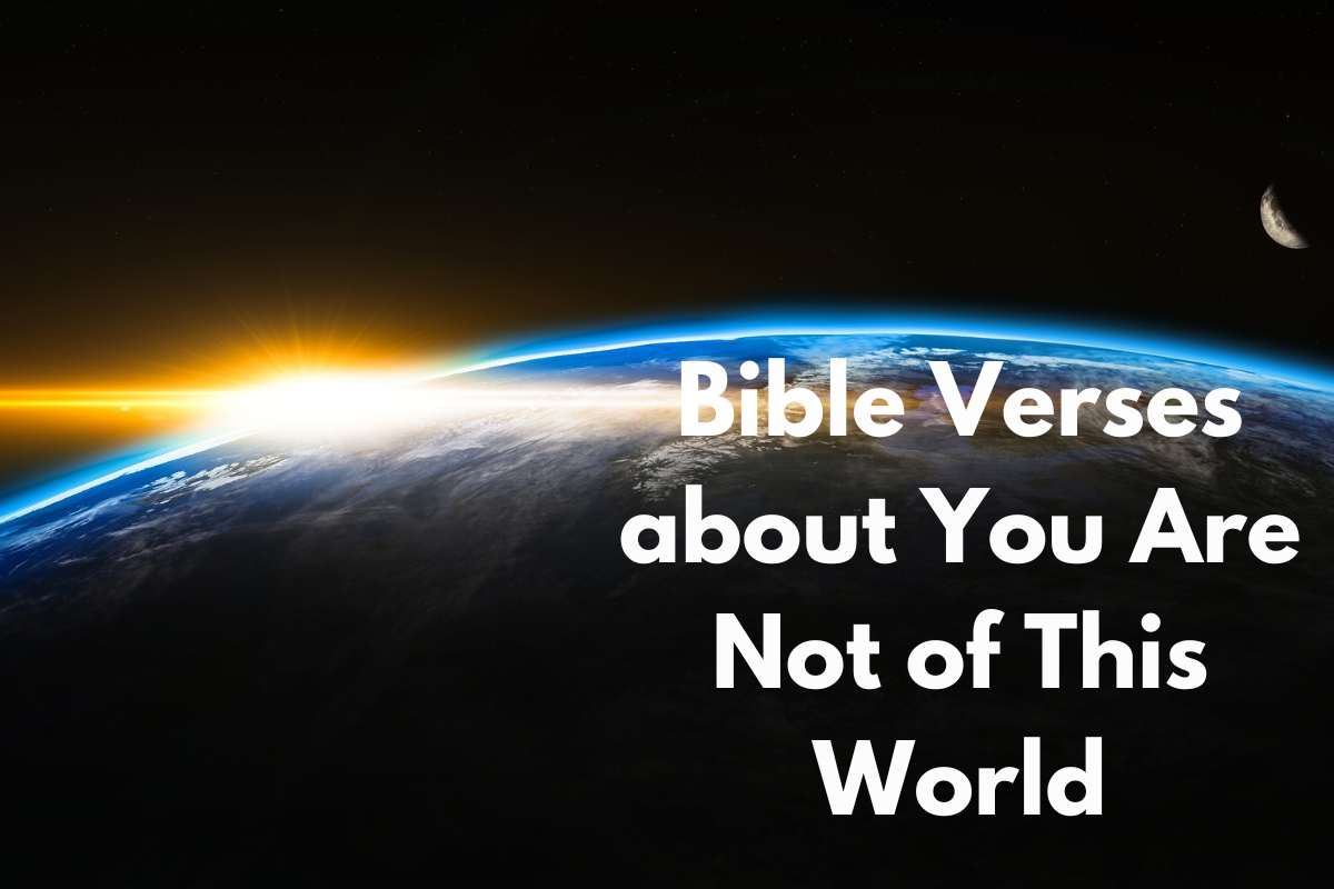 Bible Verses About You Are Not Of This World - LoveFlocks