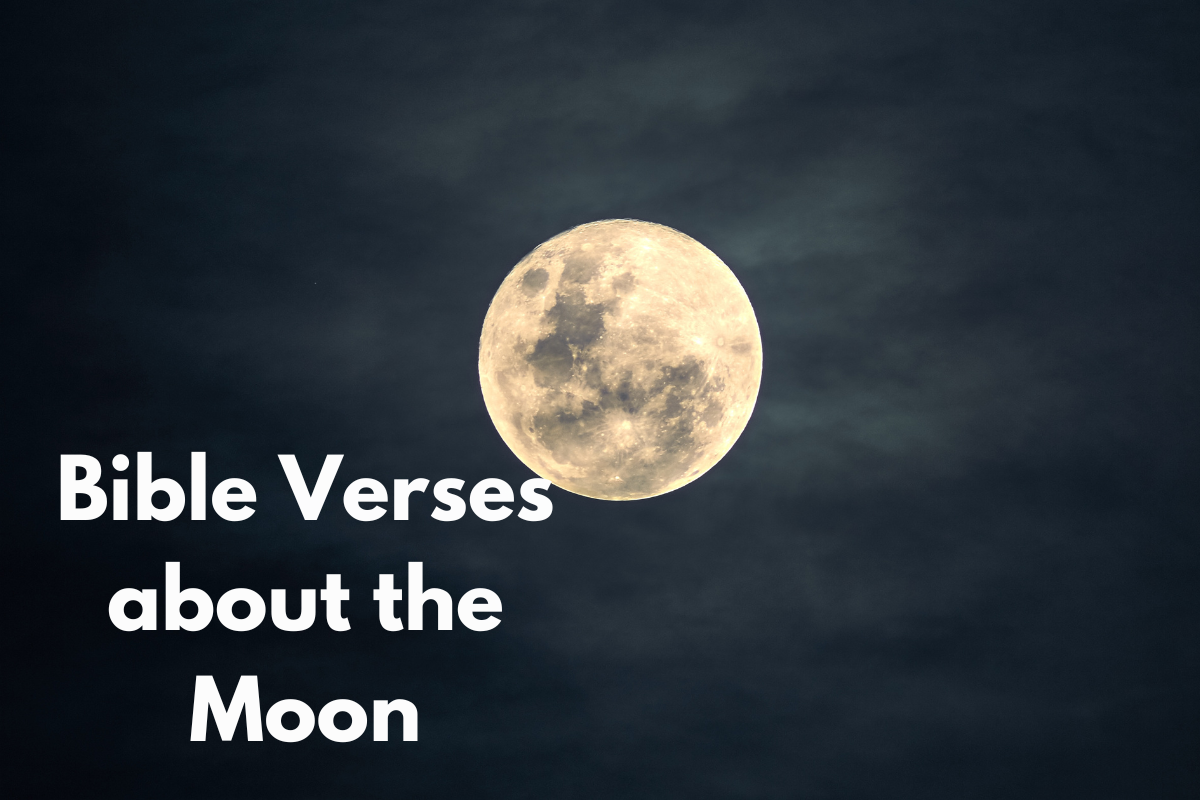 Bible Verses about the Moon - LoveFlocks