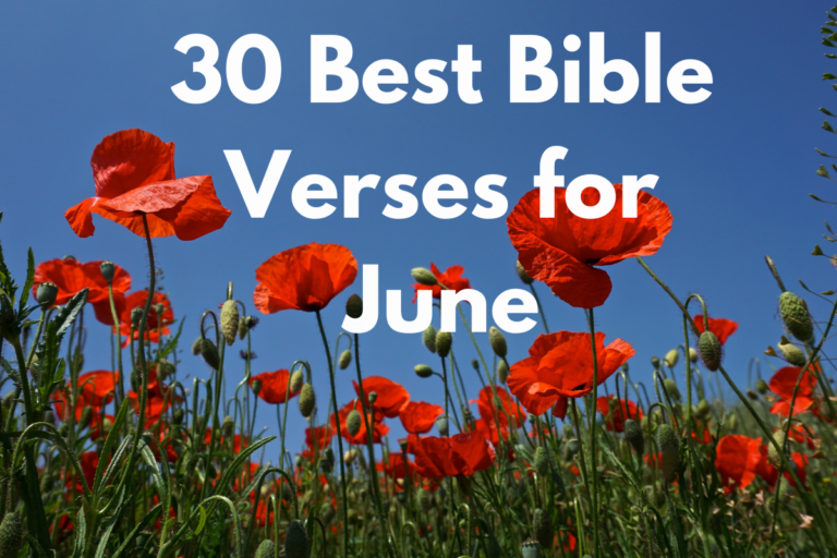 30 Best Bible Verses for June - LoveFlocks