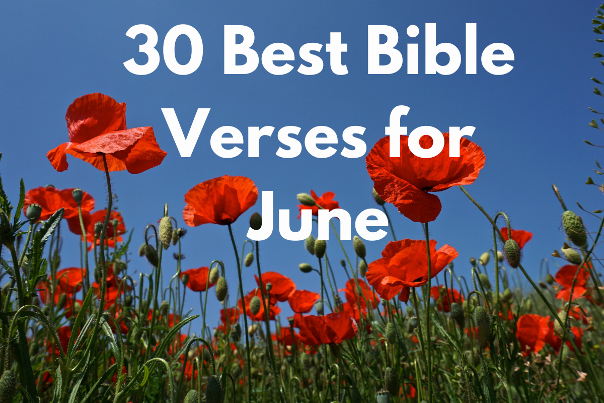 30 Best Bible Verses for June - LoveFlocks