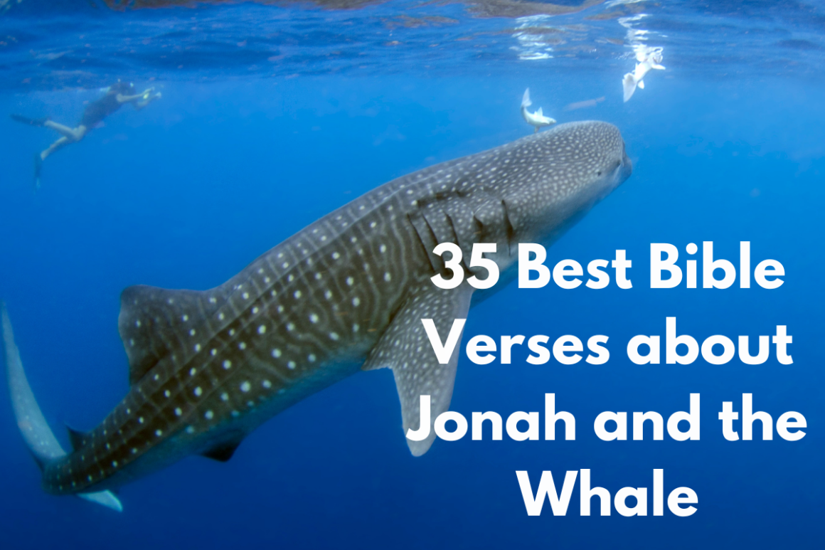 35 Best Bible Verses about Jonah and the Whale - LoveFlocks