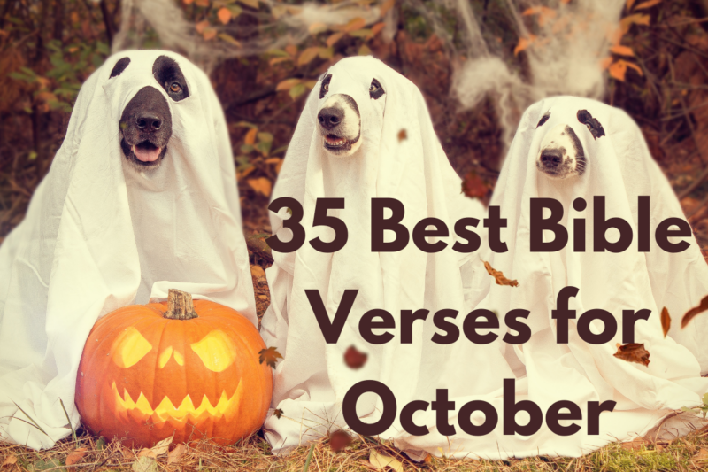 35 Best Bible Verses for October - LoveFlocks