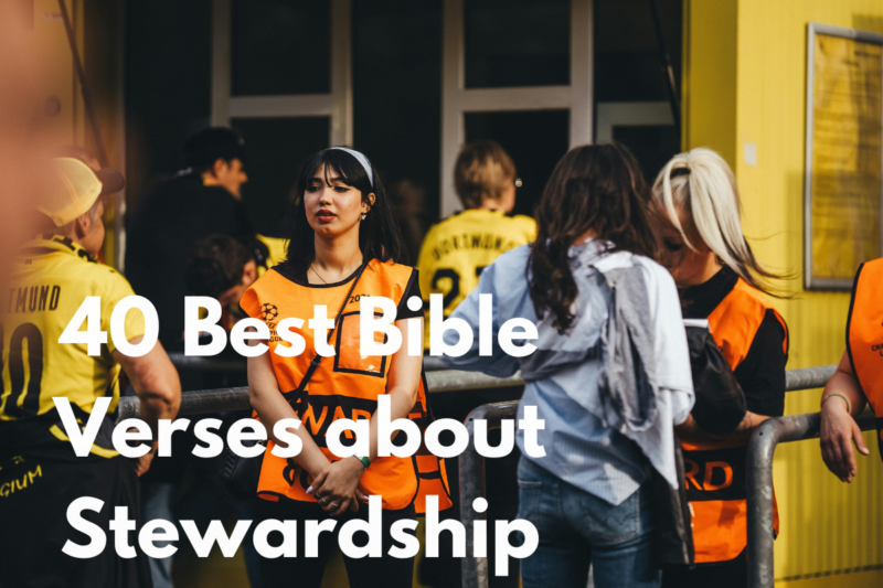 40 Best Bible Verses about Stewardship - LoveFlocks