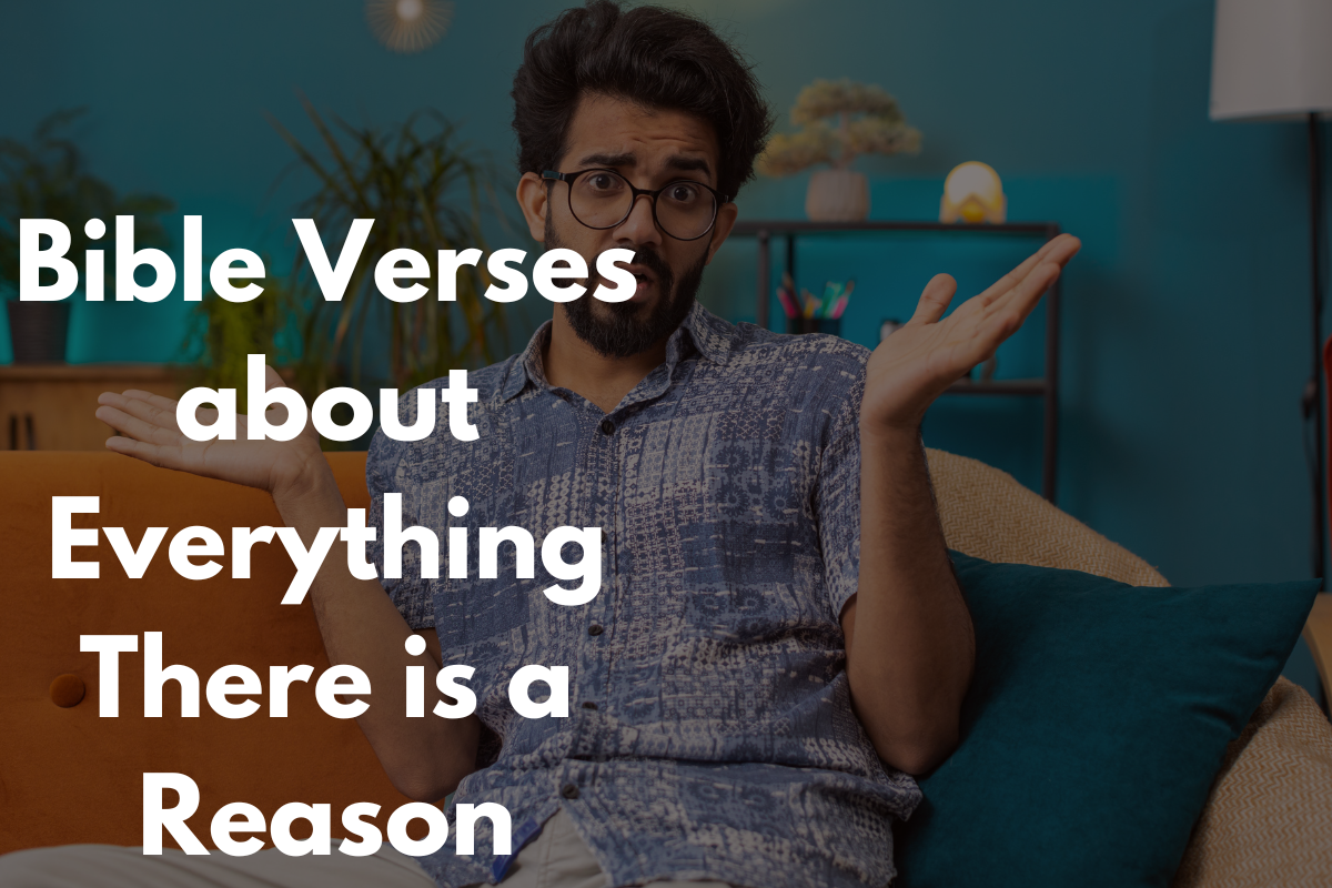 Bible Verses About Everything There Is A Reason - LoveFlocks
