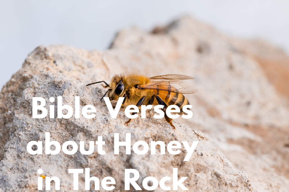 Bible Verses about Honey in The Rock - LoveFlocks