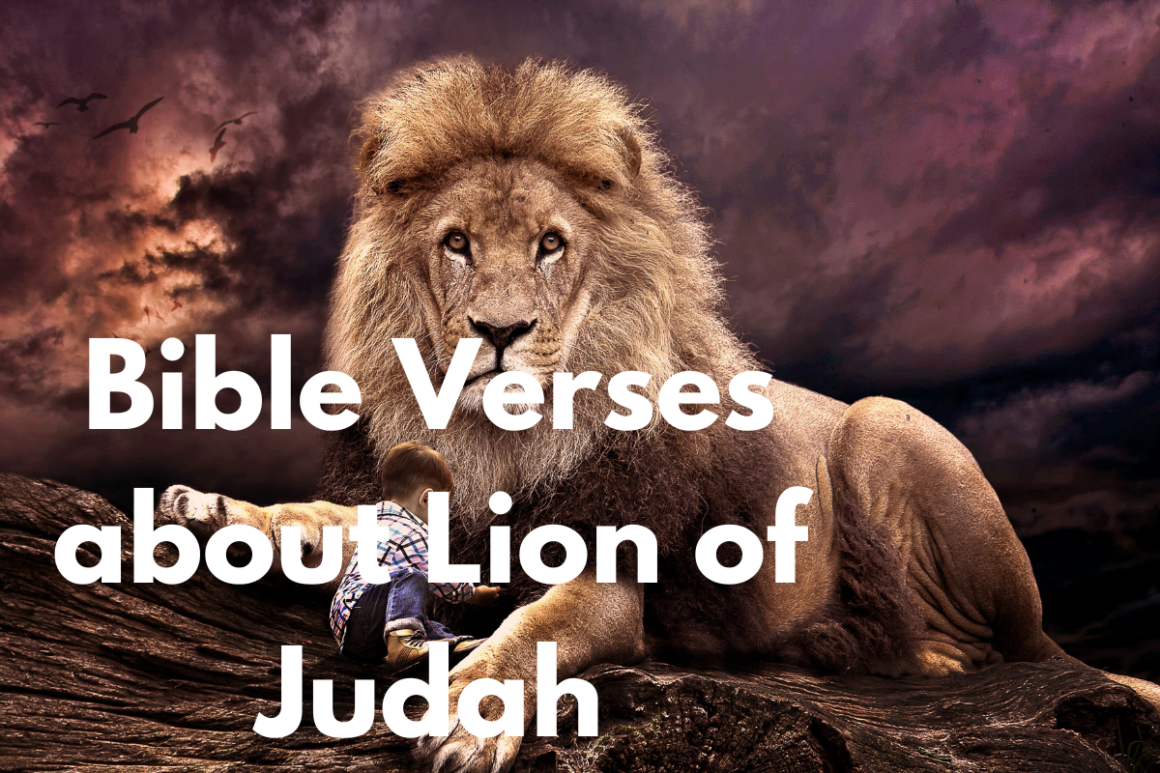 Bible Verses about Lion of Judah - LoveFlocks