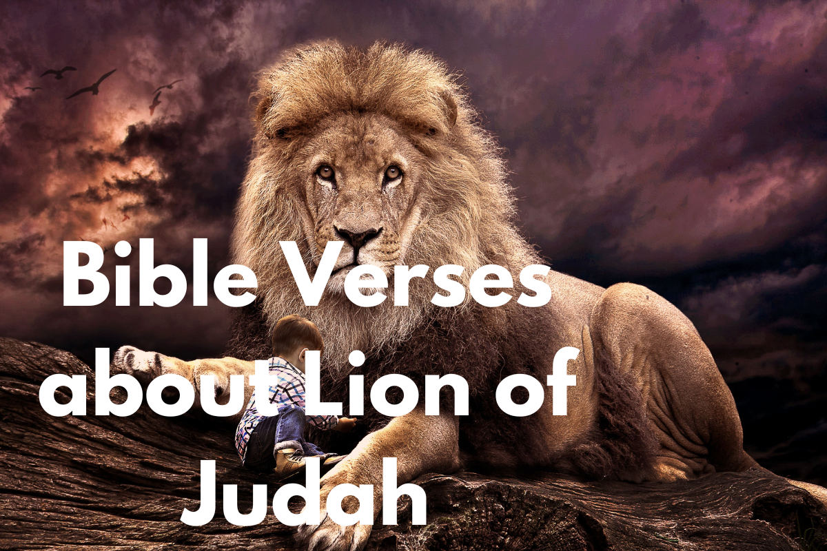 Bible Verses about Lion of Judah - LoveFlocks