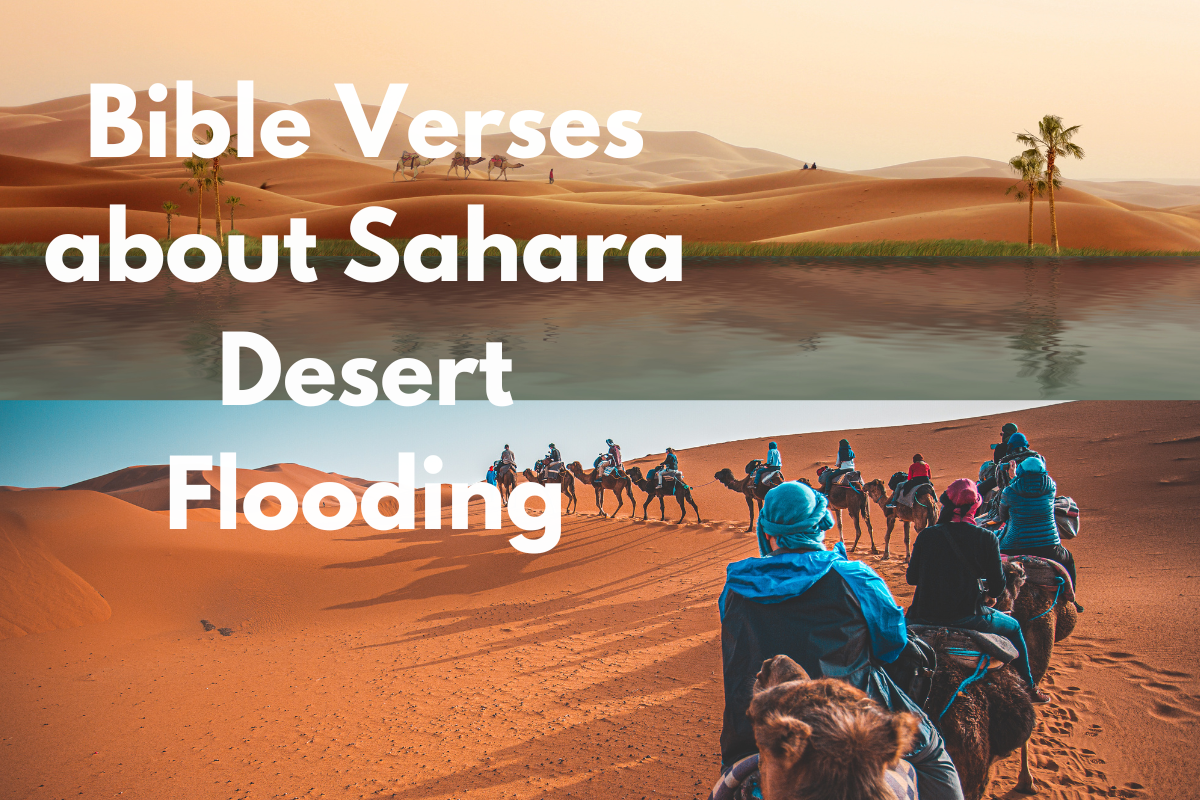 Bible Verses About Sahara Desert Flooding - LoveFlocks
