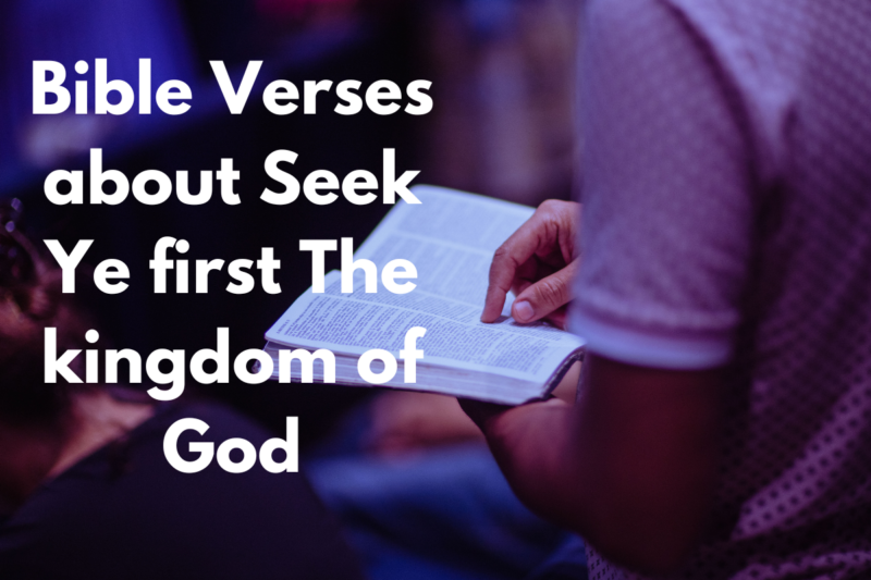 Bible Verses about Seek Ye first The kingdom of God - LoveFlocks