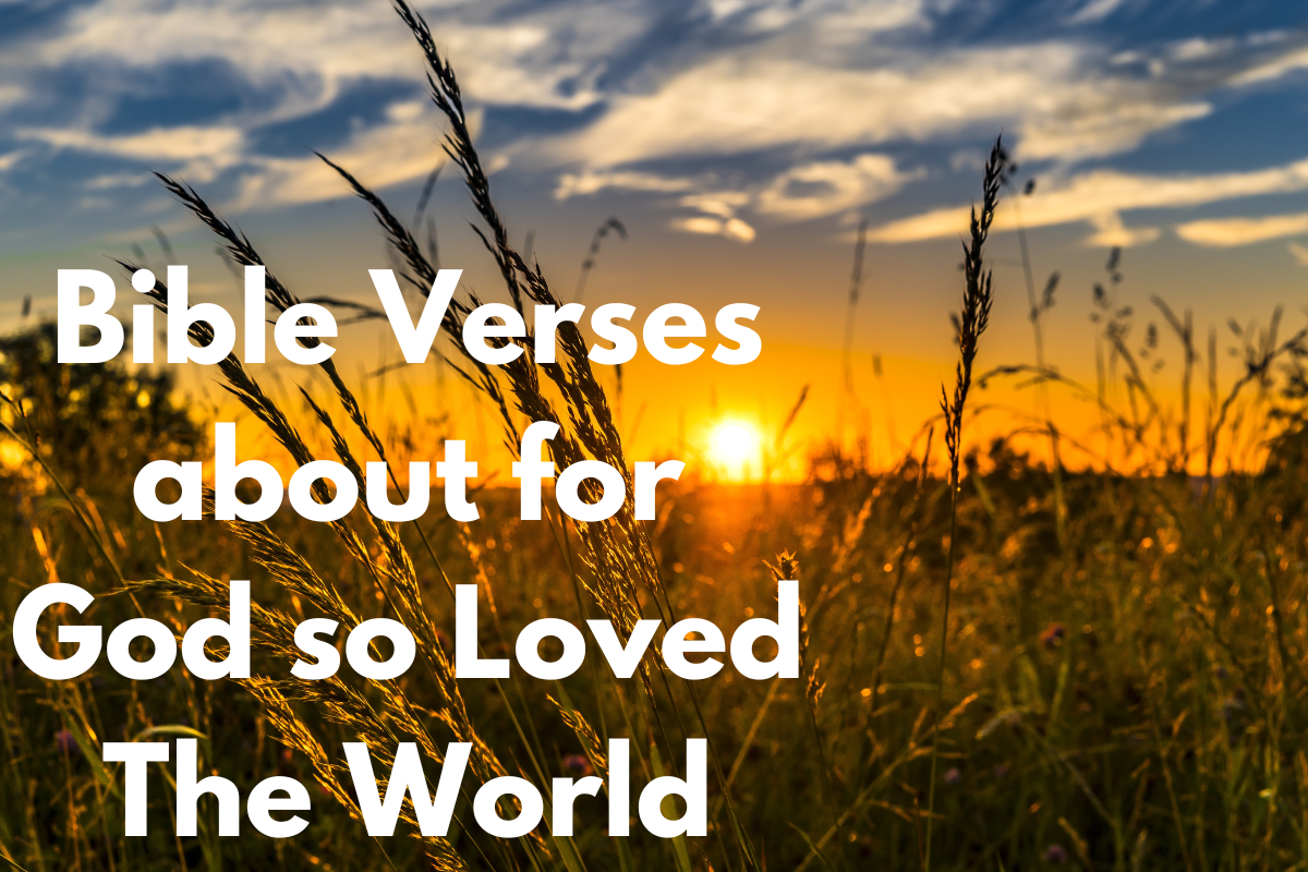 Bible Verses About For God So Loved The World - LoveFlocks