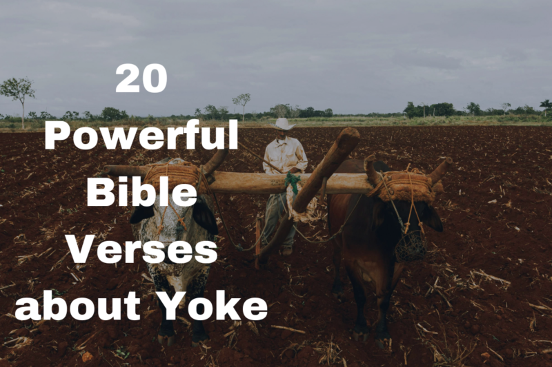 20 Powerful Bible Verses about Yoke - LoveFlocks
