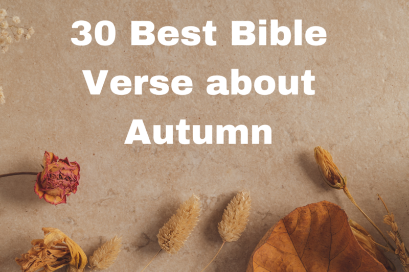 30 Best Bible Verse About Autumn - LoveFlocks