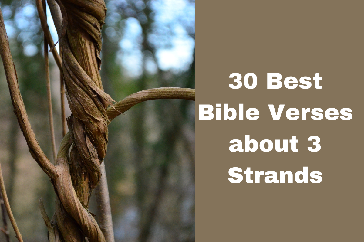 30 Best Bible Verses About 3 Strands - LoveFlocks