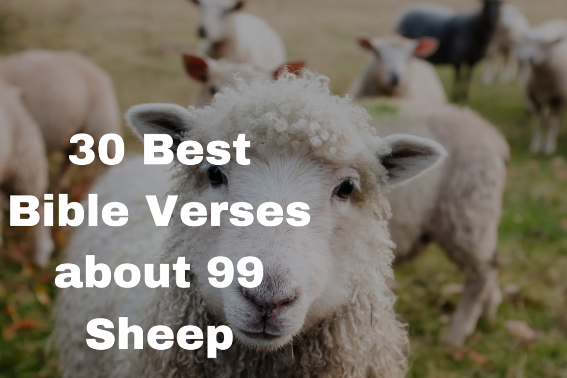 30 Best Bible Verses about 99 Sheep - LoveFlocks