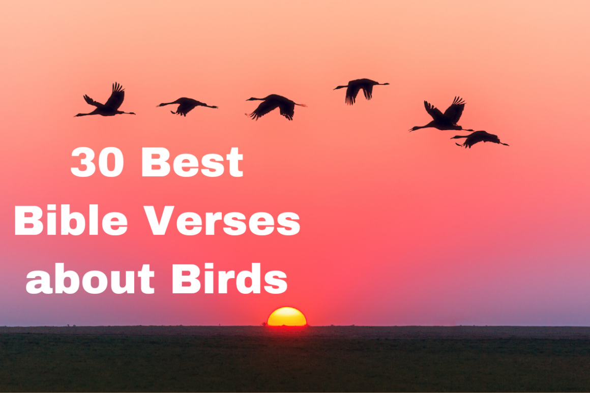 30 Best Bible Verses about Birds - LoveFlocks