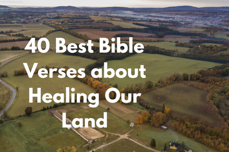 40 Best Bible Verses about Healing Our Land - LoveFlocks