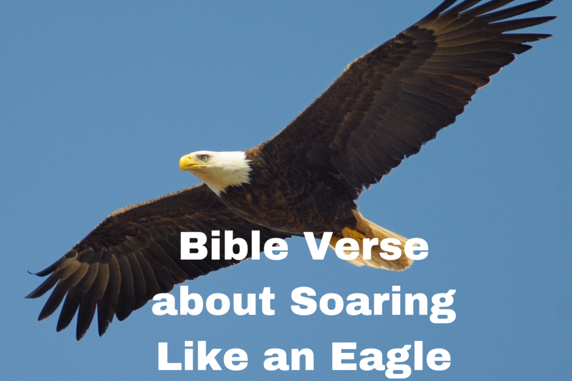 Bible Verses about Soaring Like an Eagle - LoveFlocks