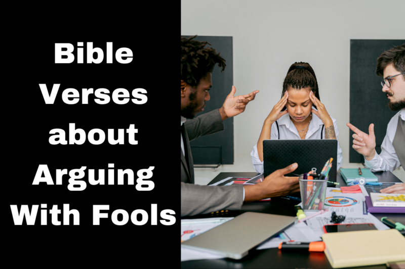 Bible Verses about Arguing With Fools - LoveFlocks