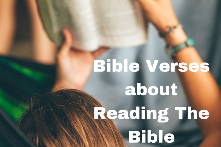 Bible Verses about Reading The Bible - LoveFlocks