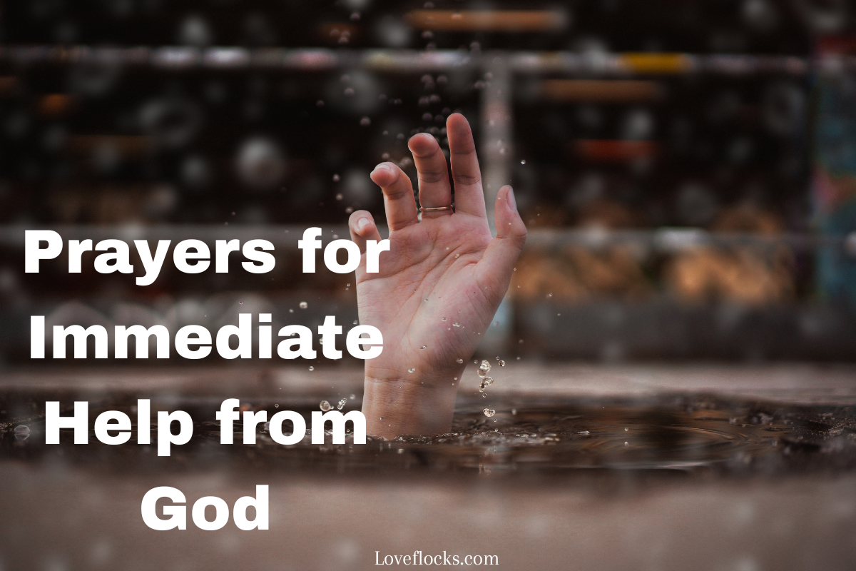 Prayers for Immediate Help from God - LoveFlocks
