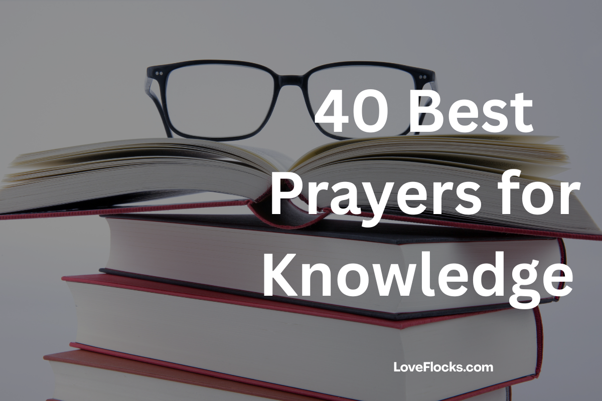 40 Powerful Prayers for Knowledge - LoveFlocks
