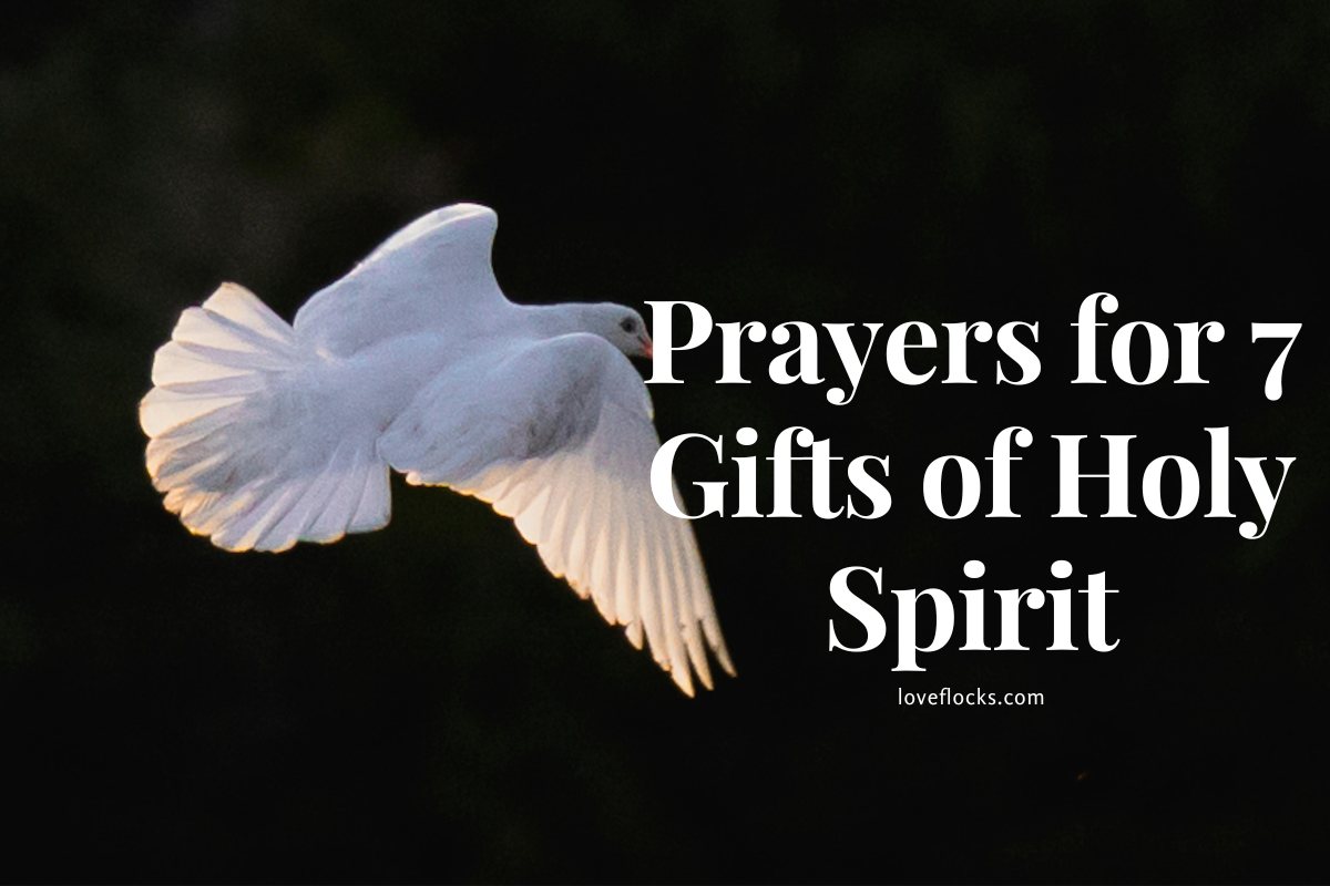 Prayers for the 7 Gifts of the Holy Spirit - LoveFlocks