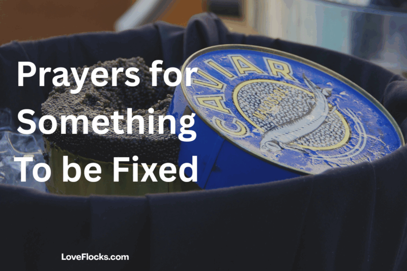 Prayers For Something To Be Fixed - LoveFlocks