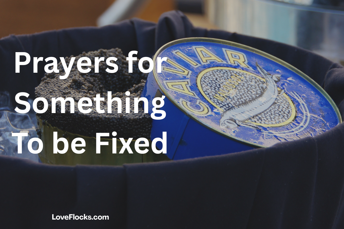 Prayers For Something To Be Fixed - LoveFlocks