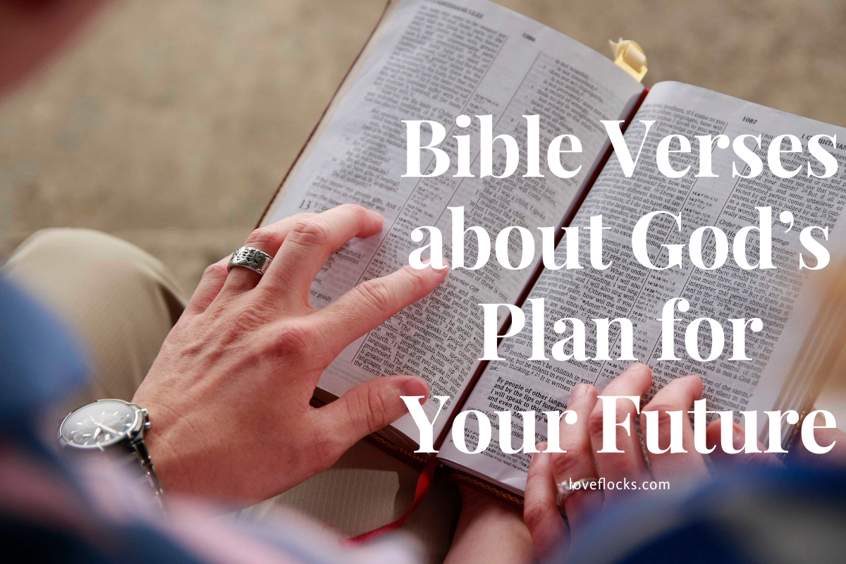 Bible Verses about God's Plan for Your Future - LoveFlocks