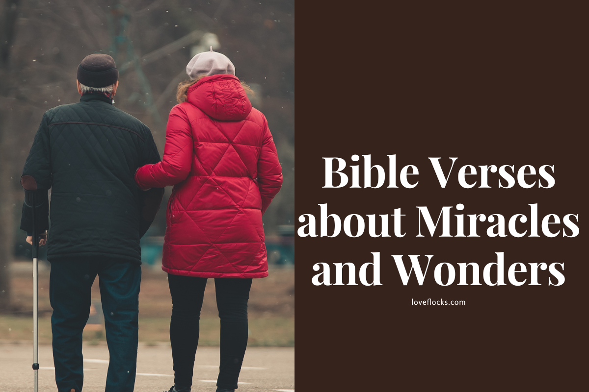 Bible Verses about Miracles and Wonders - LoveFlocks