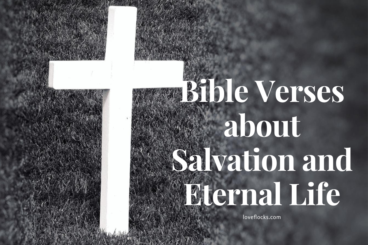 Bible Verses About Salvation And Eternal Life - LoveFlocks