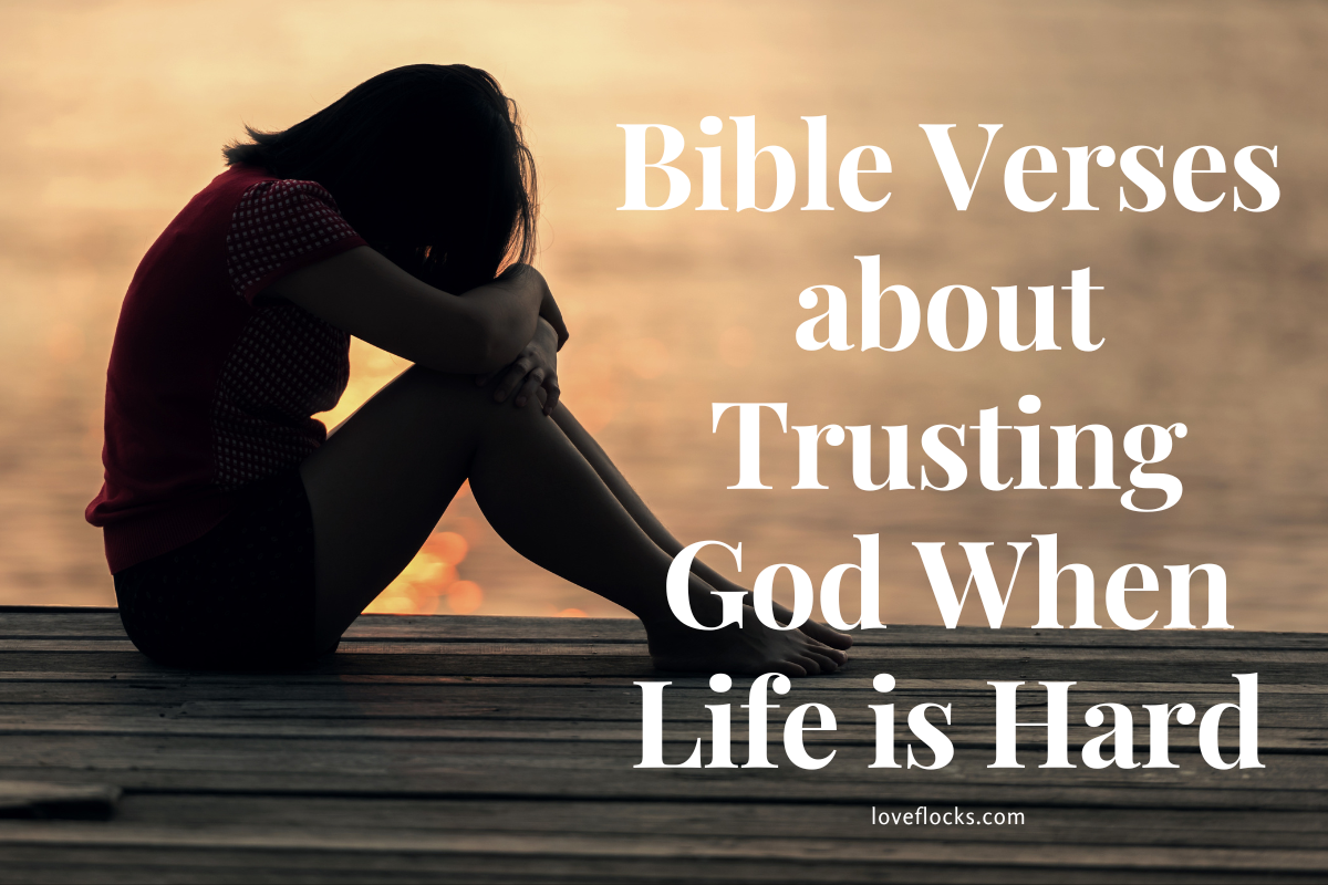 Bible Verses About Trusting God When Life Is Hard - LoveFlocks