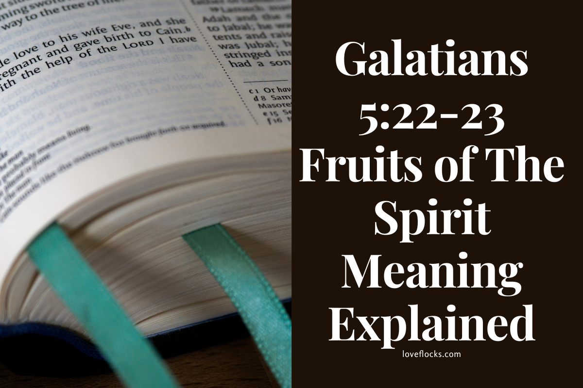 Galatians 5:22-23 Fruits of The Spirit Meaning Explained - LoveFlocks