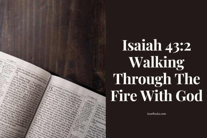 Isaiah 43:2 Walking Through The Fire With God - Guaranteed LoveFlocks