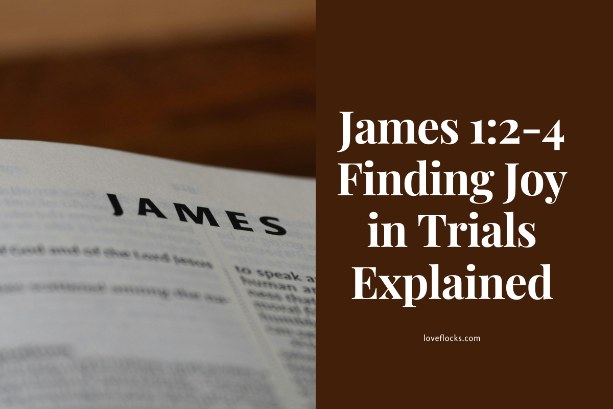 James 1:2-4 Finding Joy In Trials Explained - LoveFlocks