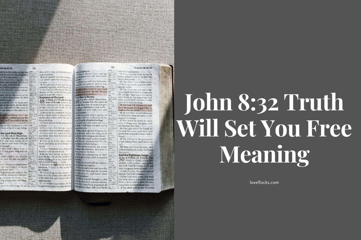 John 8:32 Truth Will Set You Free Meaning - LoveFlocks