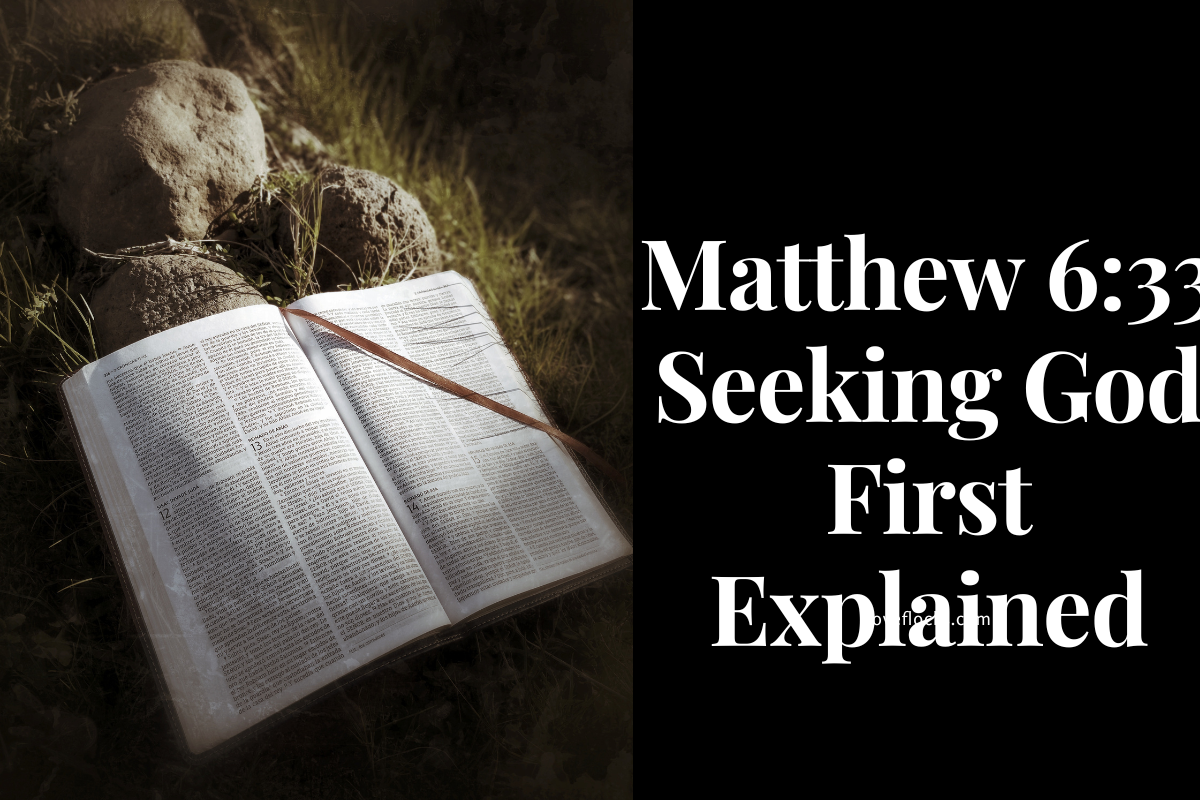 Matthew 6:33 Seeking God First Explained - LoveFlocks