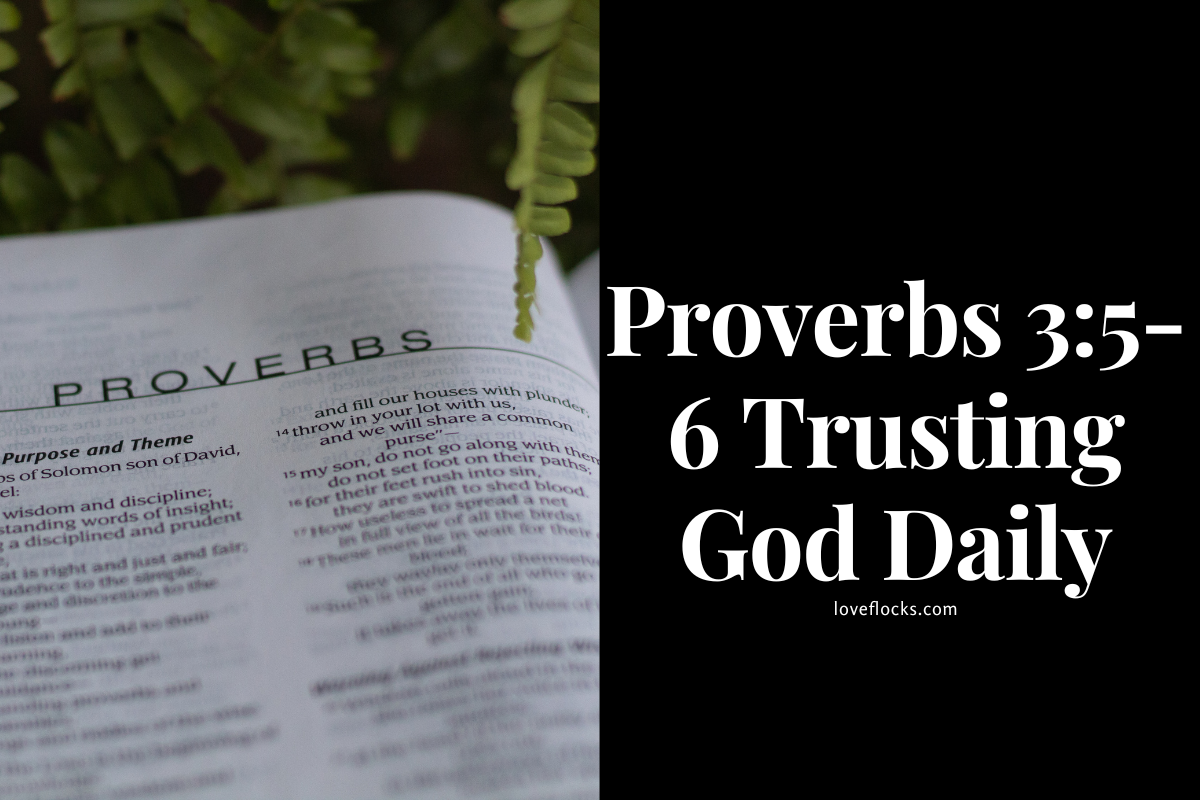 Proverbs 3:5-6 Trusting God Daily - LoveFlocks