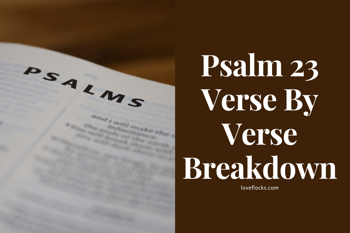 Psalm 23 Verse By Verse Breakdown - LoveFlocks