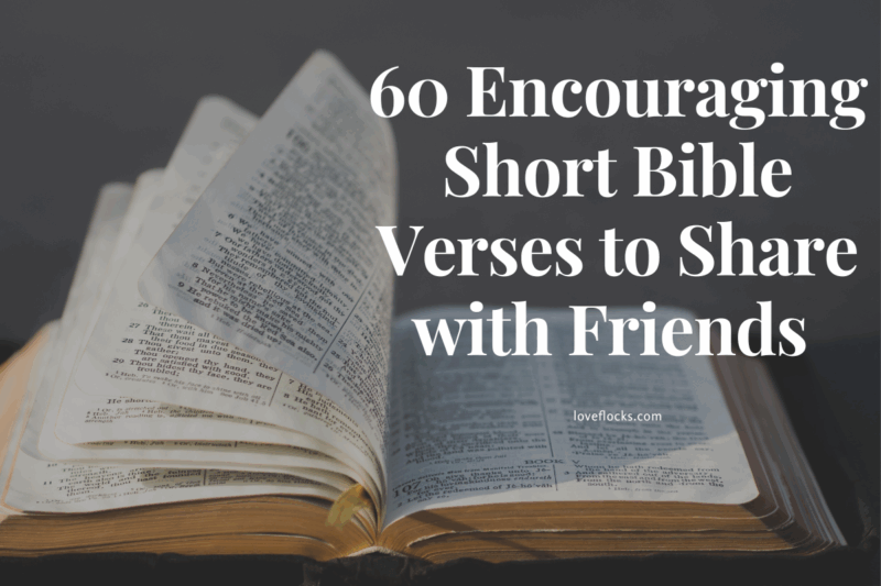 60 Encouraging Short Bible Verses to Share with Friends - LoveFlocks