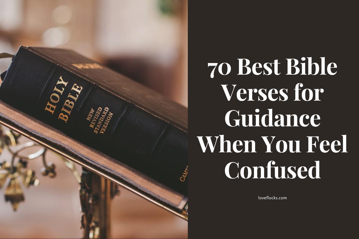 70 Best Bible Verses for Guidance When You Feel Confused